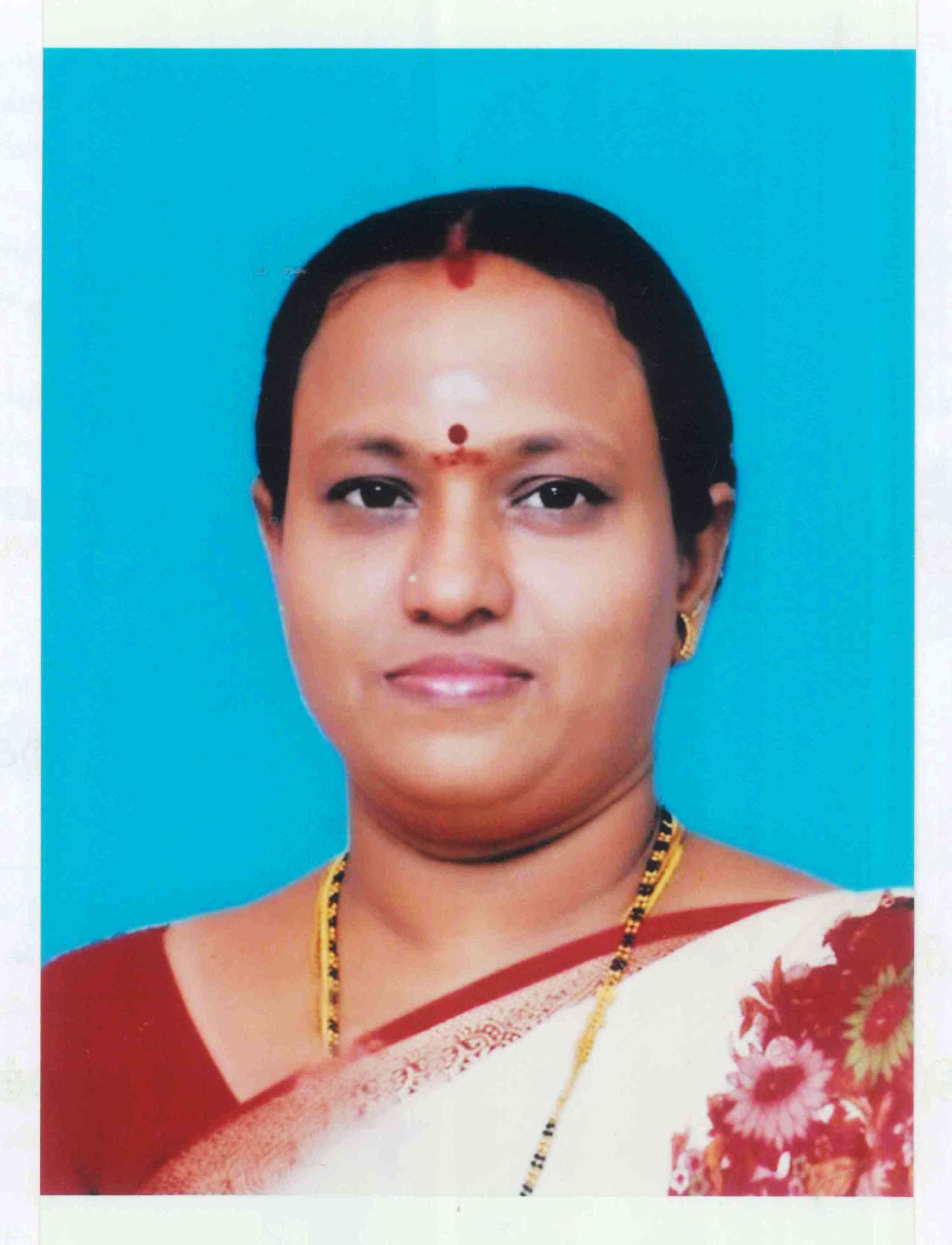 Vilathikulam Assembly constituency - Election 2026